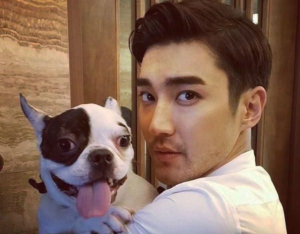SUPER JUNIORシウォンが馬の理由＆犬の事件まとめ！経緯や影響も紹介